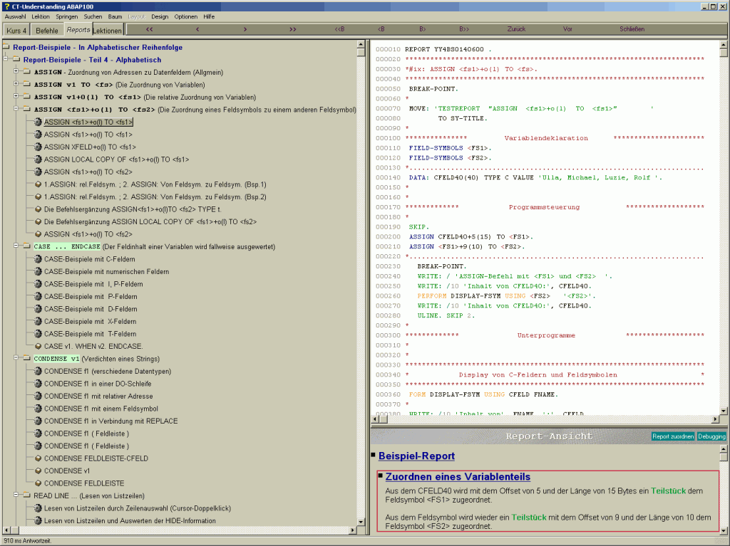 CT-Software | CT-Understanding_100: ABAP in der Praxis erleben
