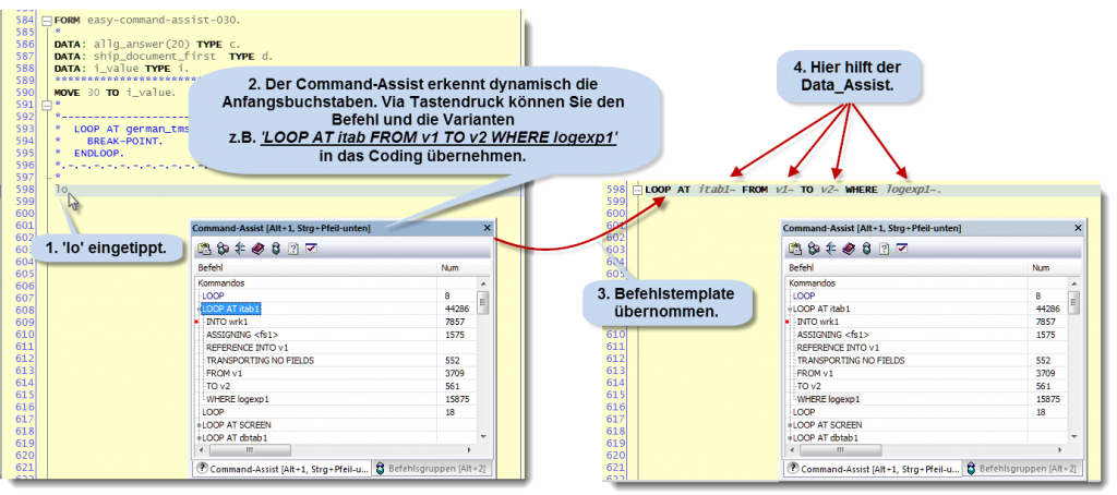 CT-Software | ABAP™ Programmierung: Software-Assistenten
